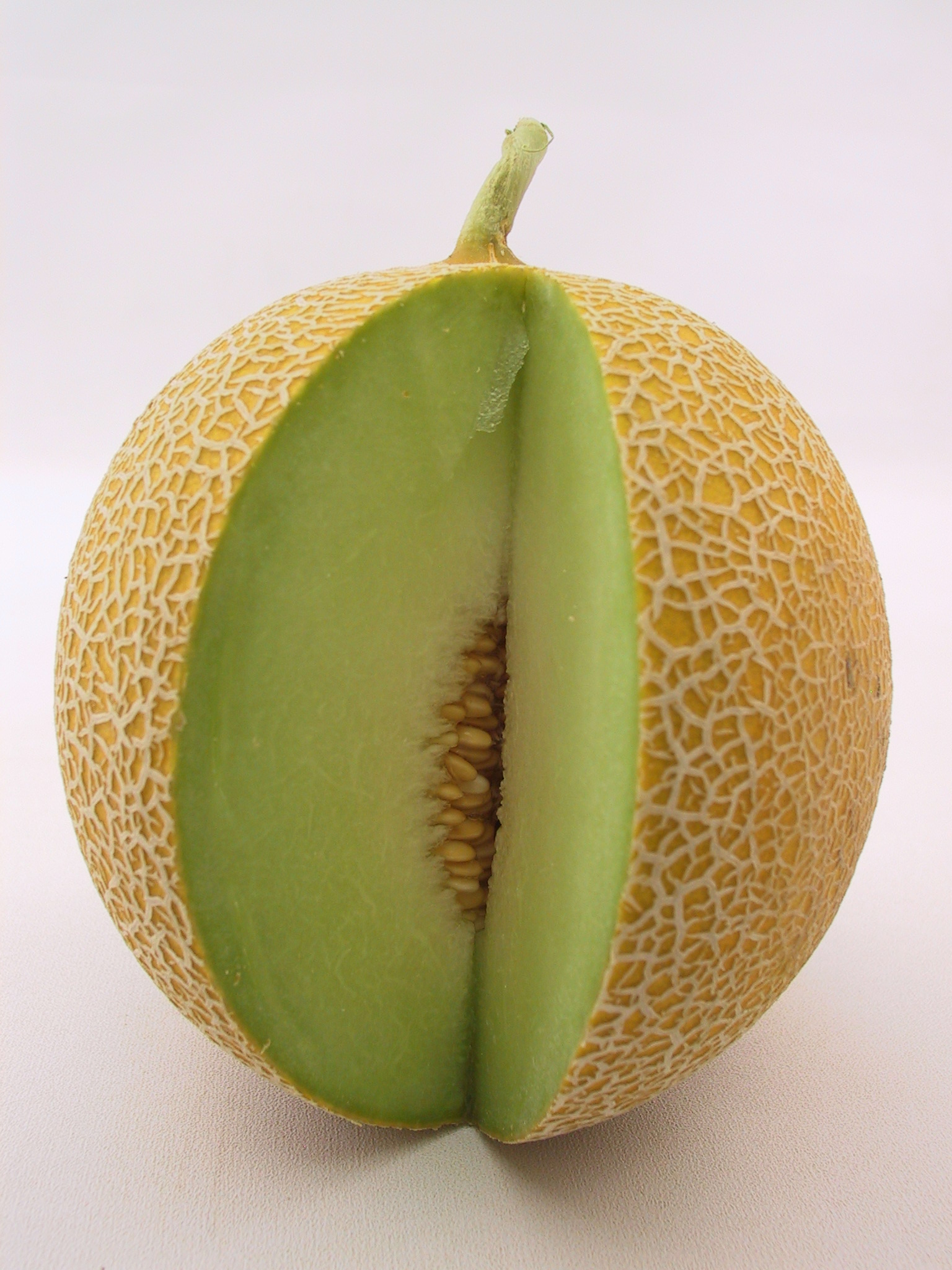 Melon 'Suzan' Grafted Organic
