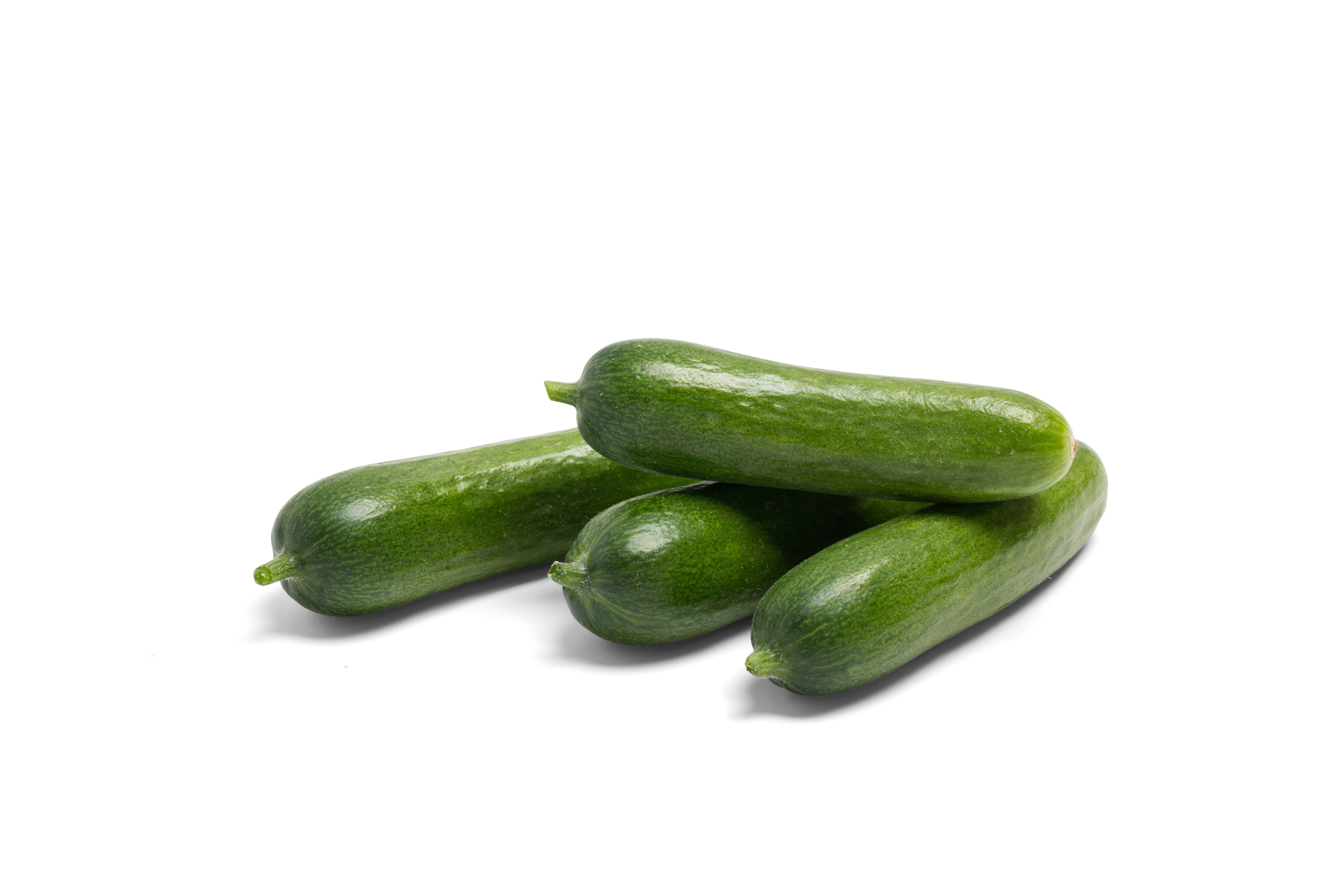 Cucumber 'Barkan' Grafted Organic